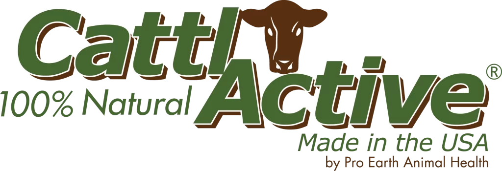 What is CattlActive | Mine Creek Feed